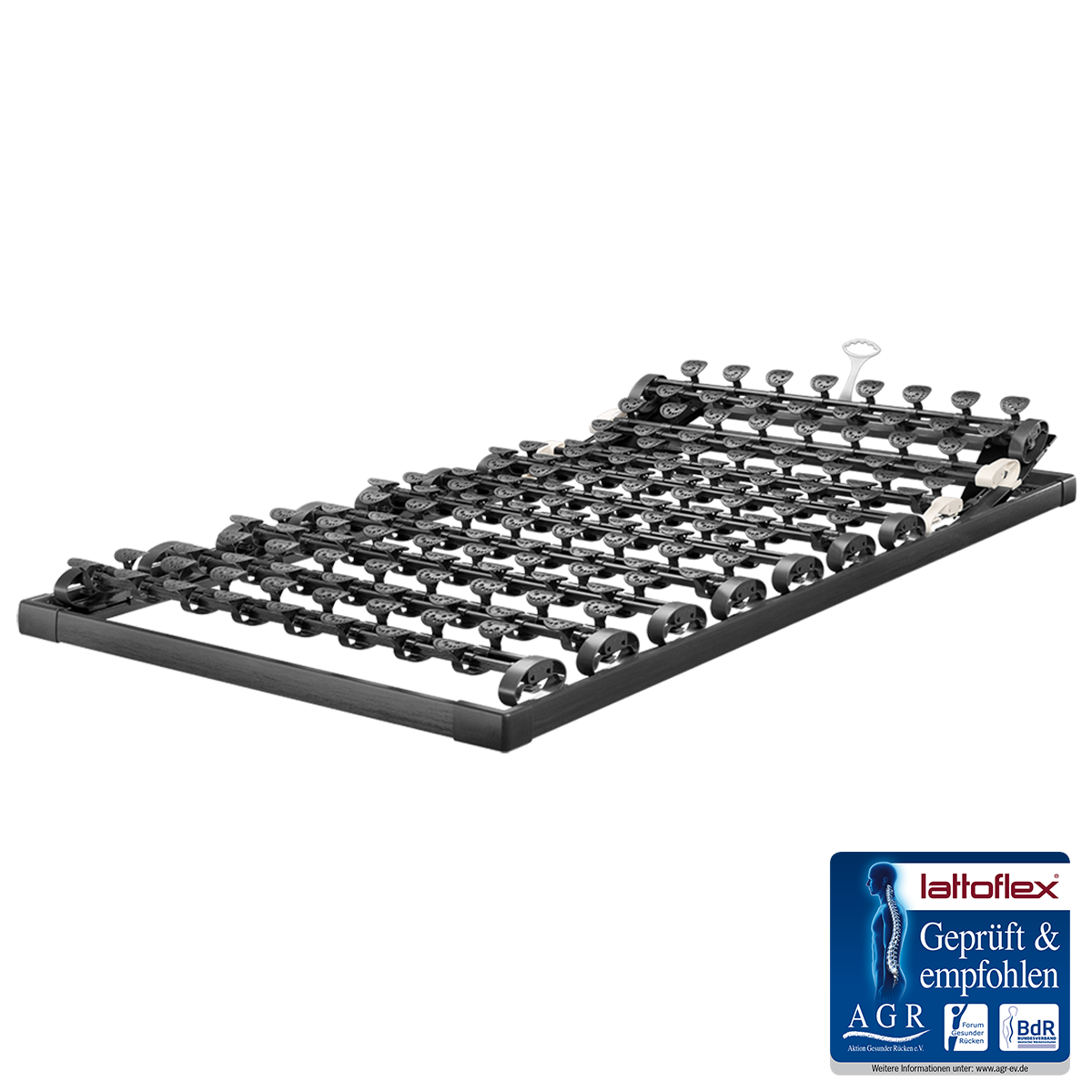 900 900